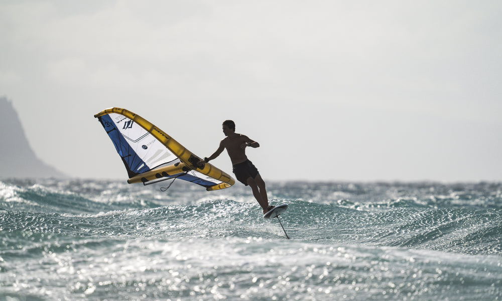Wing-Surfer