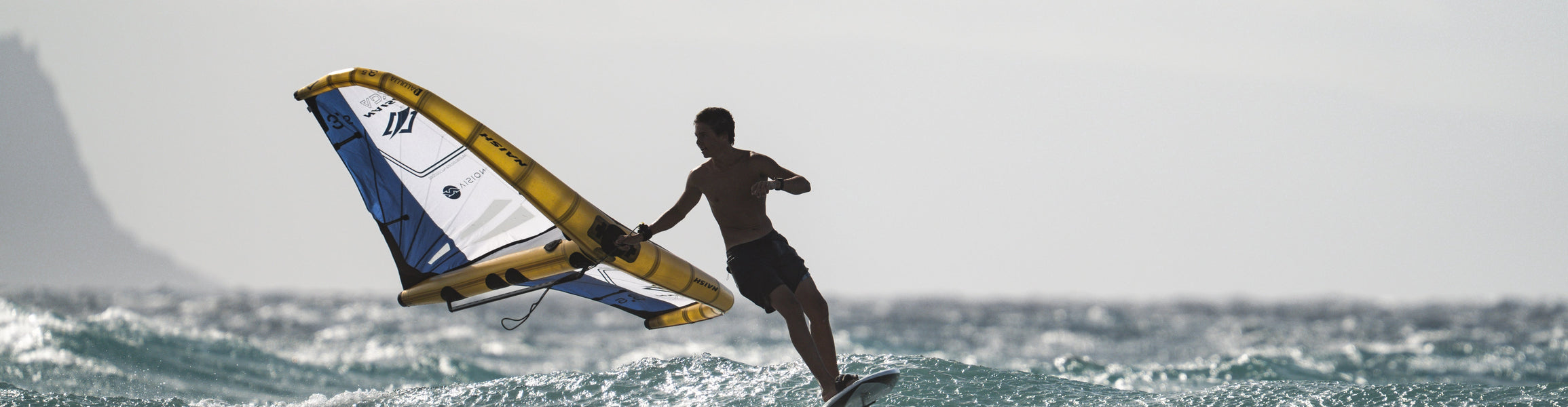Wing-Surfer