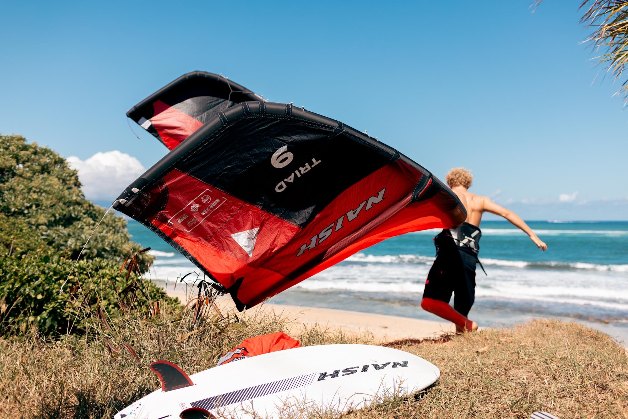 Kite Collection