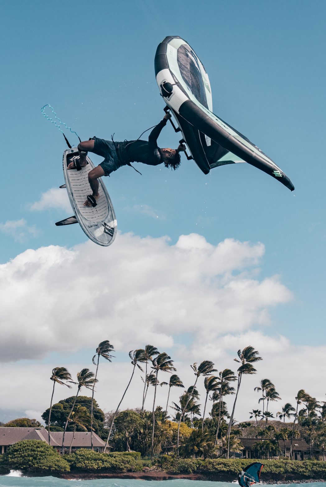 Wing-Surf Collection Wing-Surf Collection
