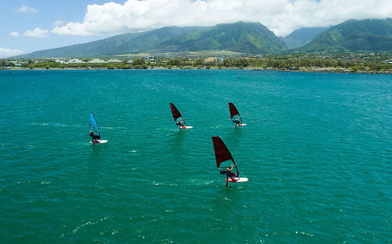 Windsurf Collection